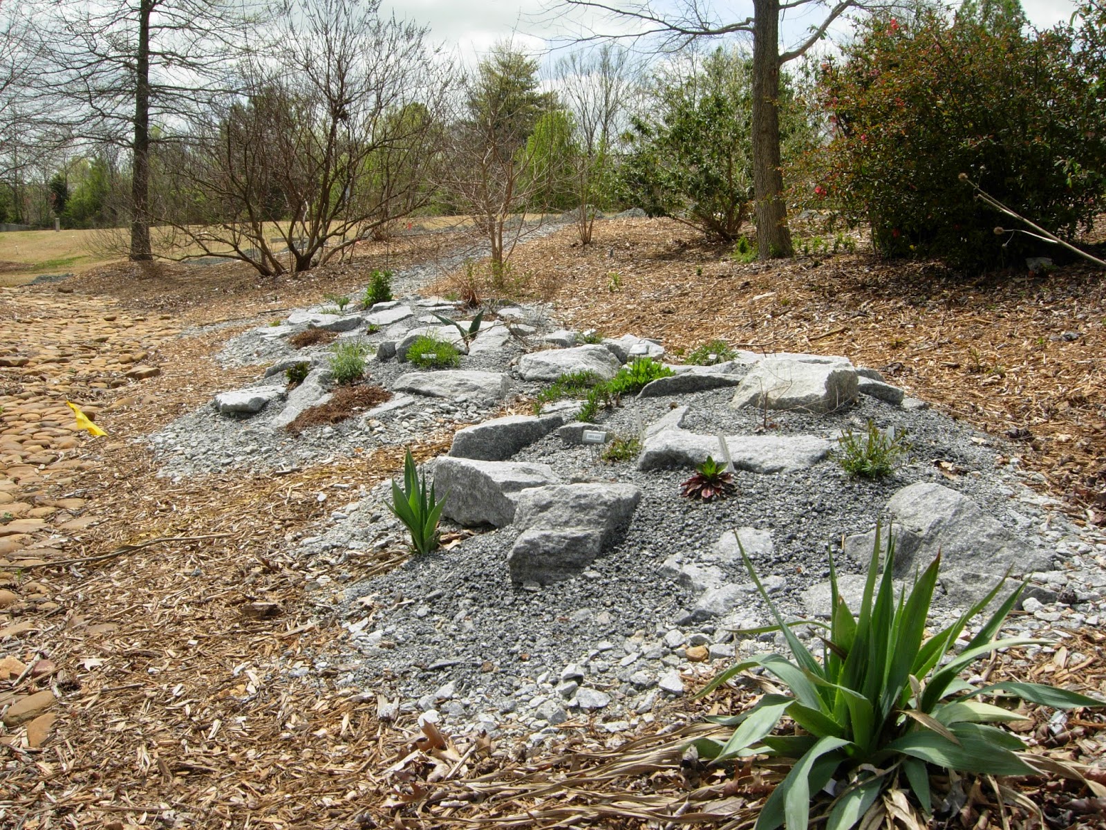 This Week: Introducing our Garden Themes: Rock Outcrop Garden; Weekly ...