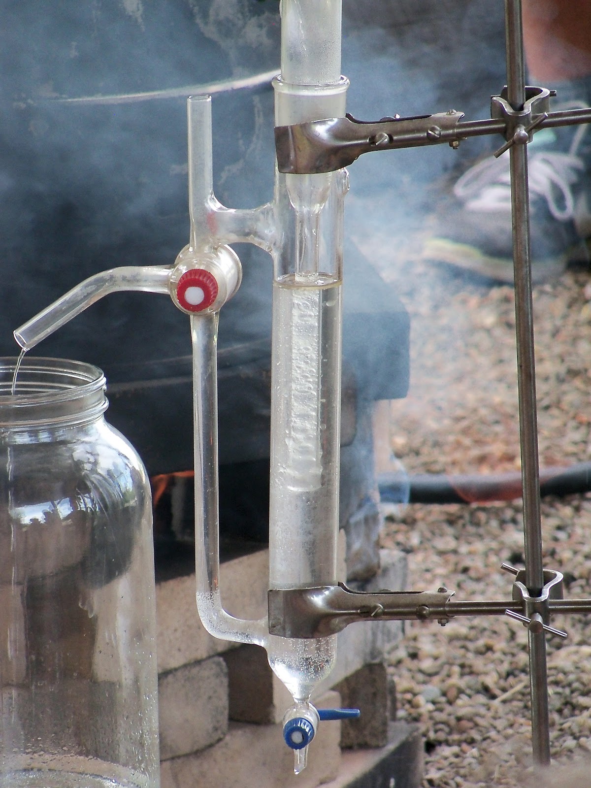 Plant Journeys: Calendula at Peak, Lavender Distillation, and Summer Lush