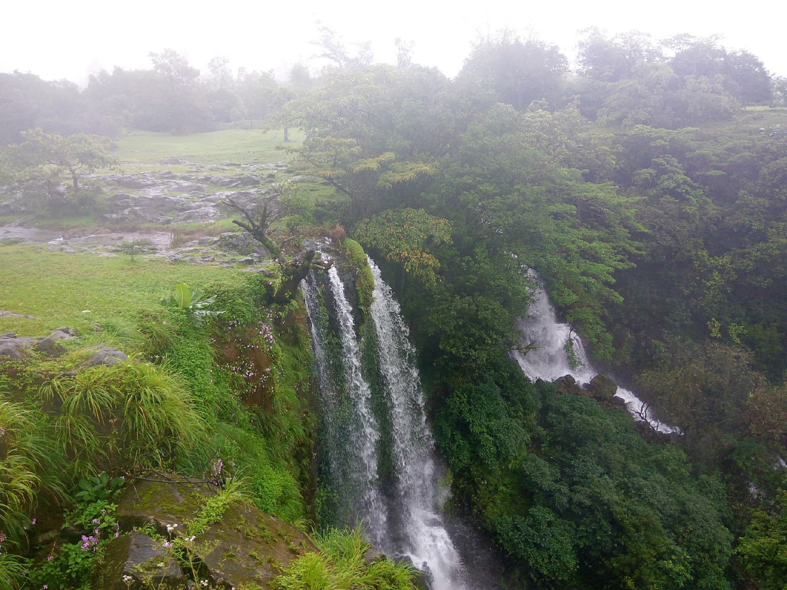 Sharing My Travel Experiences: Experience with Western Ghats untouched ...