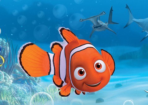 PAPEL DE ARROZ EM BETIM: NEMO