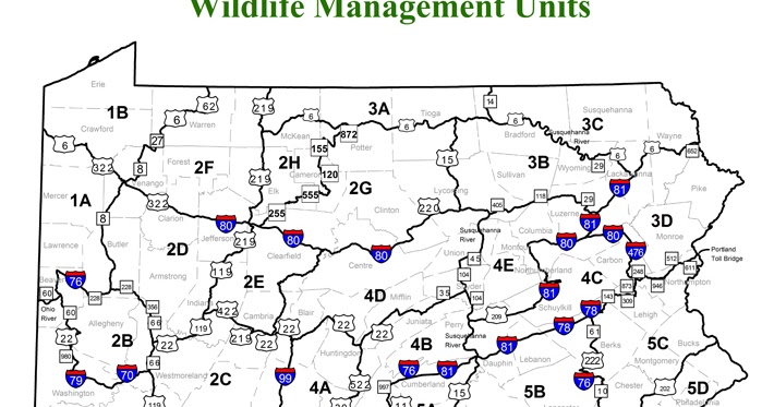 Full O'Bull Gazette: PA Doe License Updates Available Online!