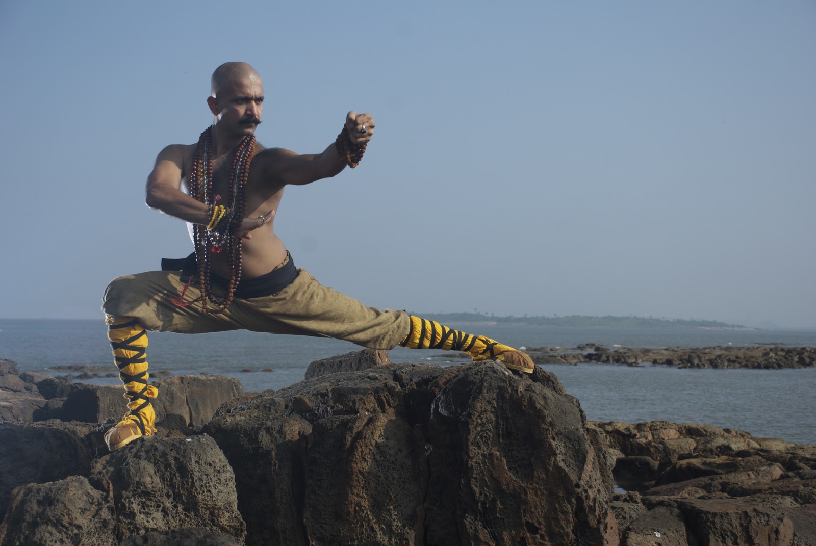 Shifuji Fusion Kungfu-Indian Yoga-Martial_Arts,Shifuji's Indian ...