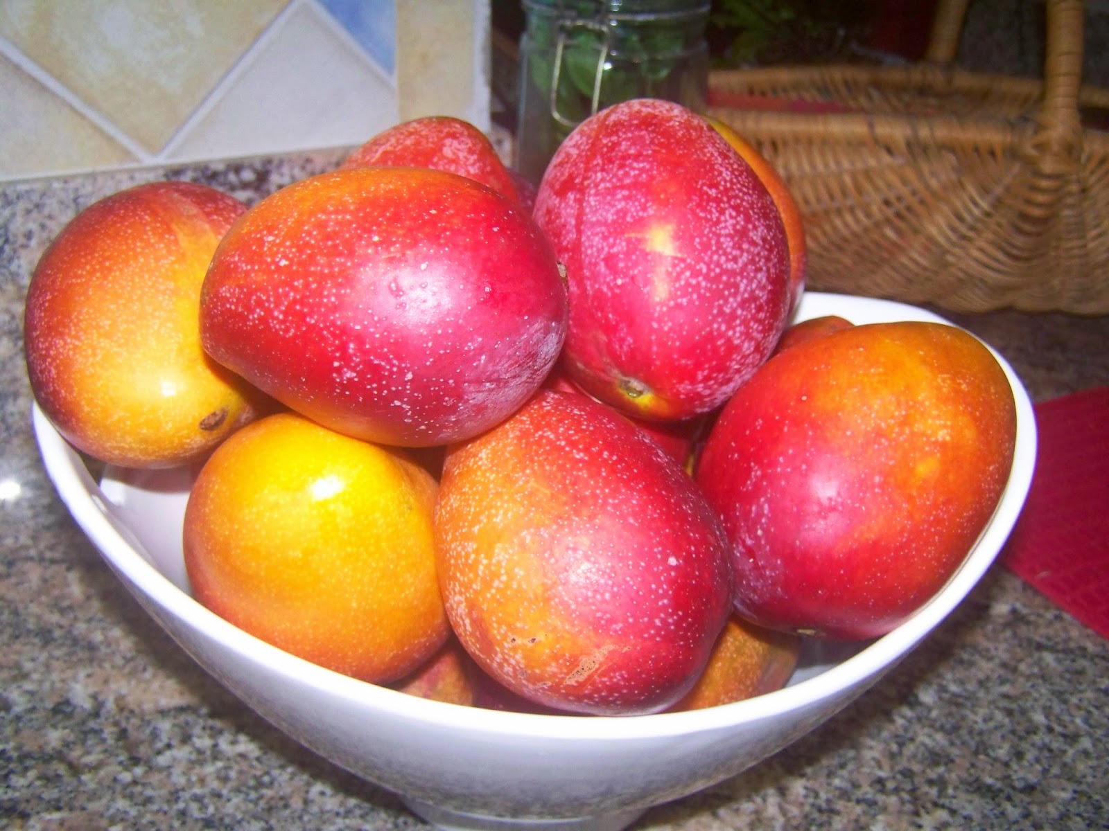 my rustic bajan garden: Mangomania has ended