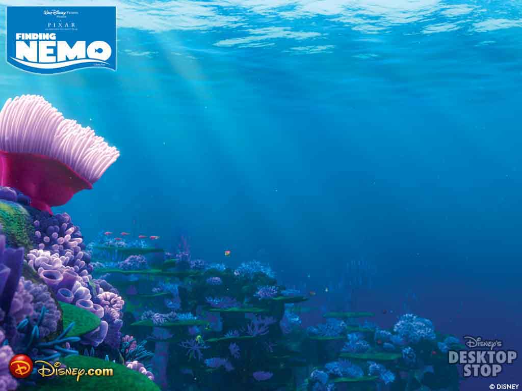 Finding Nemo HD 3d Cartoon Wallpaper ~ Cartoon Wallpaper