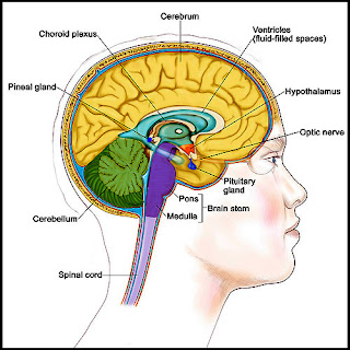 The Sacred Secretion