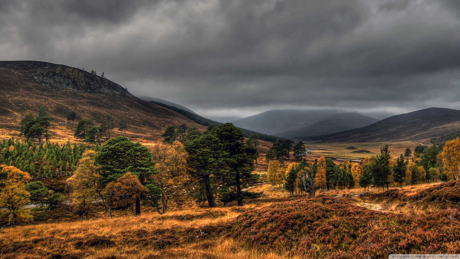 Collections: 1200X900 wallpapers