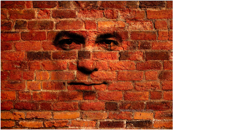 Edit Foto dengan Efek Bunglon di Photoshop ~ Graphic in Design