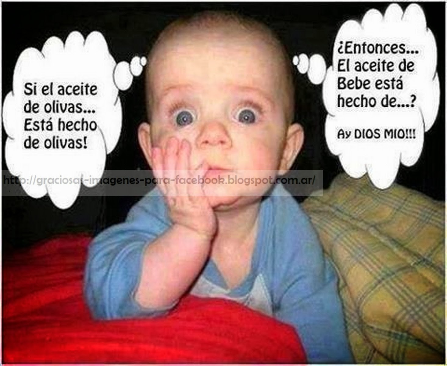 Imágenes graciosas-divertidas | Imagenes que te matan de la risa