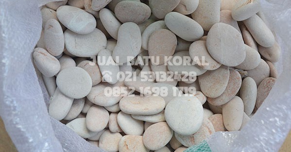 JUAL BATU KORAL KUPANG PINK MURAH - JAKARTA TANGERANG - JUAL BATU ALAM ...