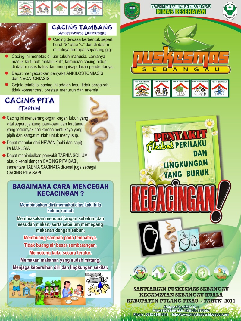 PUSKESMAS SEBANGAU: BROSUR KECACINGAN
