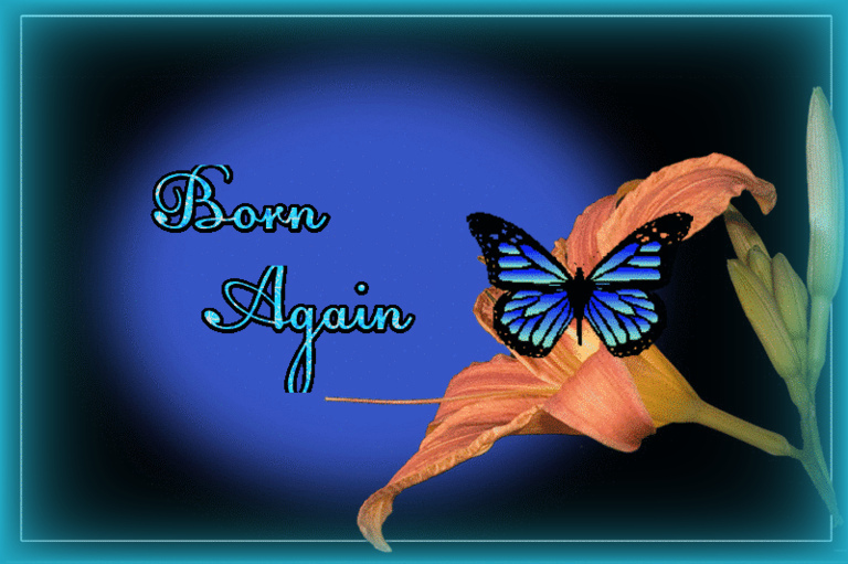 Born Again Signs / Glitter Too