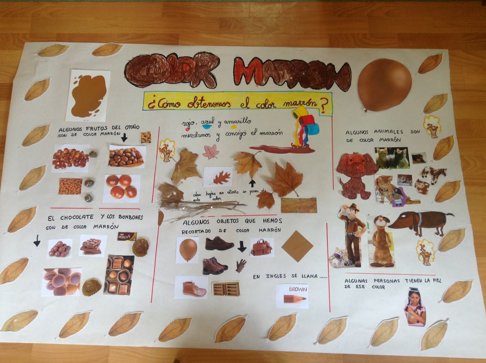 Mispeques: COLOR MARRON