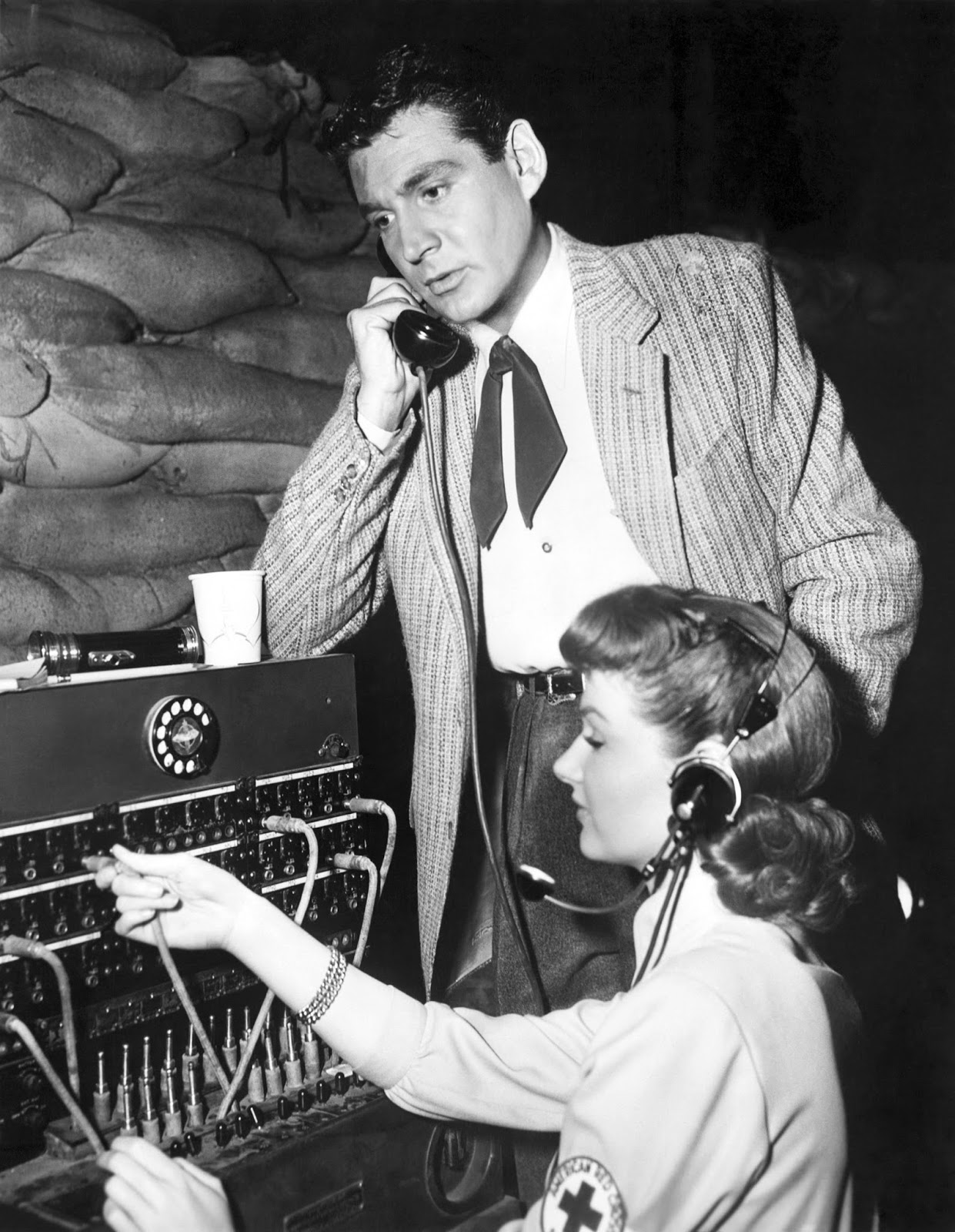 Slice of Cheesecake: Ann Robinson, pictorial