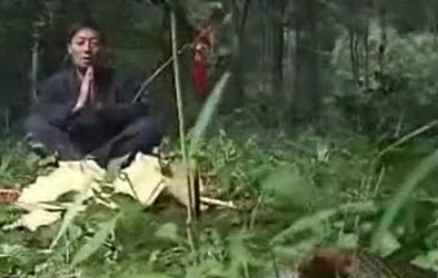 Between Science And Religion: Conjuration Of Snakes (过河)