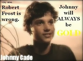 Girl with a Pen and a Dream: Re-Run ~ Happy Birthday Johnny Cade!!