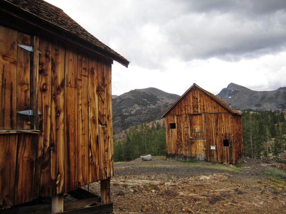 Captive Wild Woman: Mammoth Lakes - Bristlecone Pines - Yosemite Road Trip