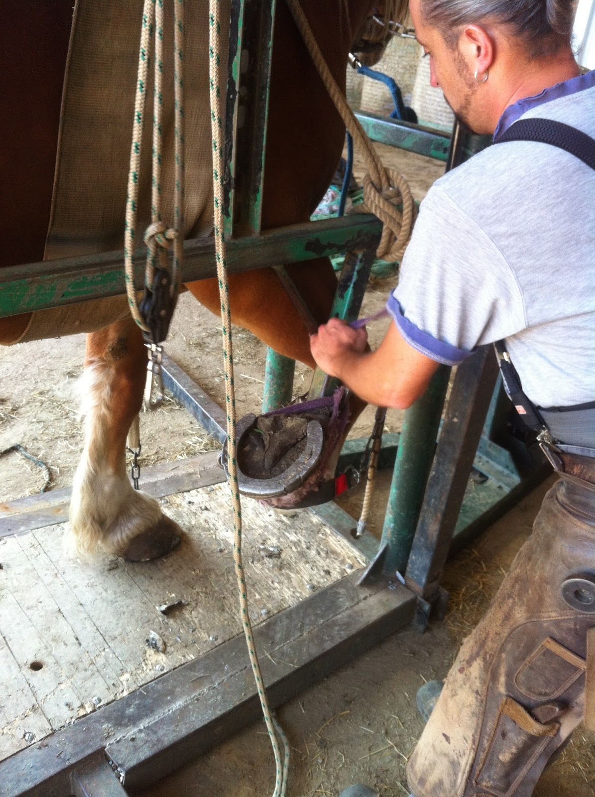 Les attelages de la Laïta: FERRAGE DES CHEVAUX DE TRAIT