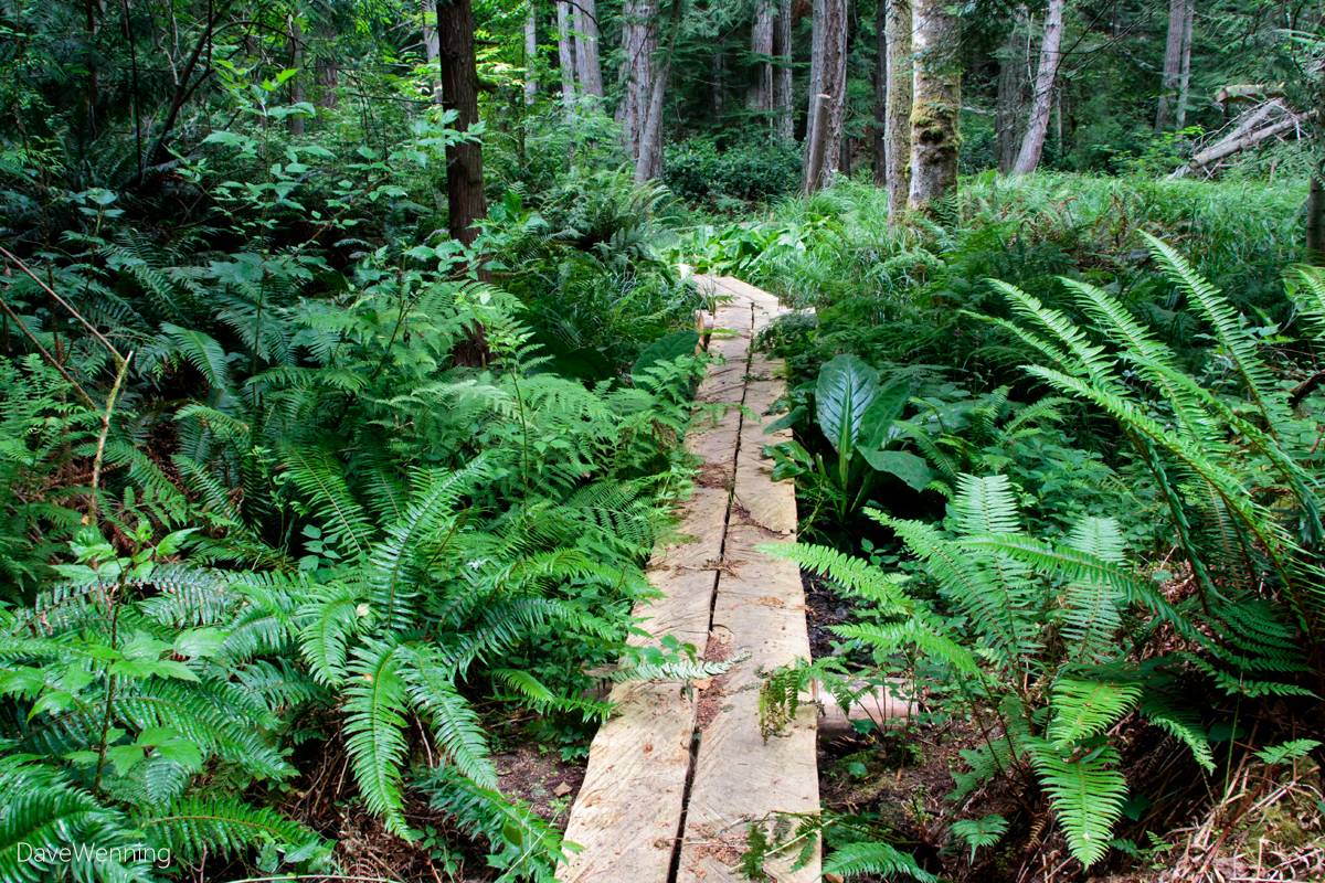 The Last Trail: Goose Rock to Cornet Bay Road