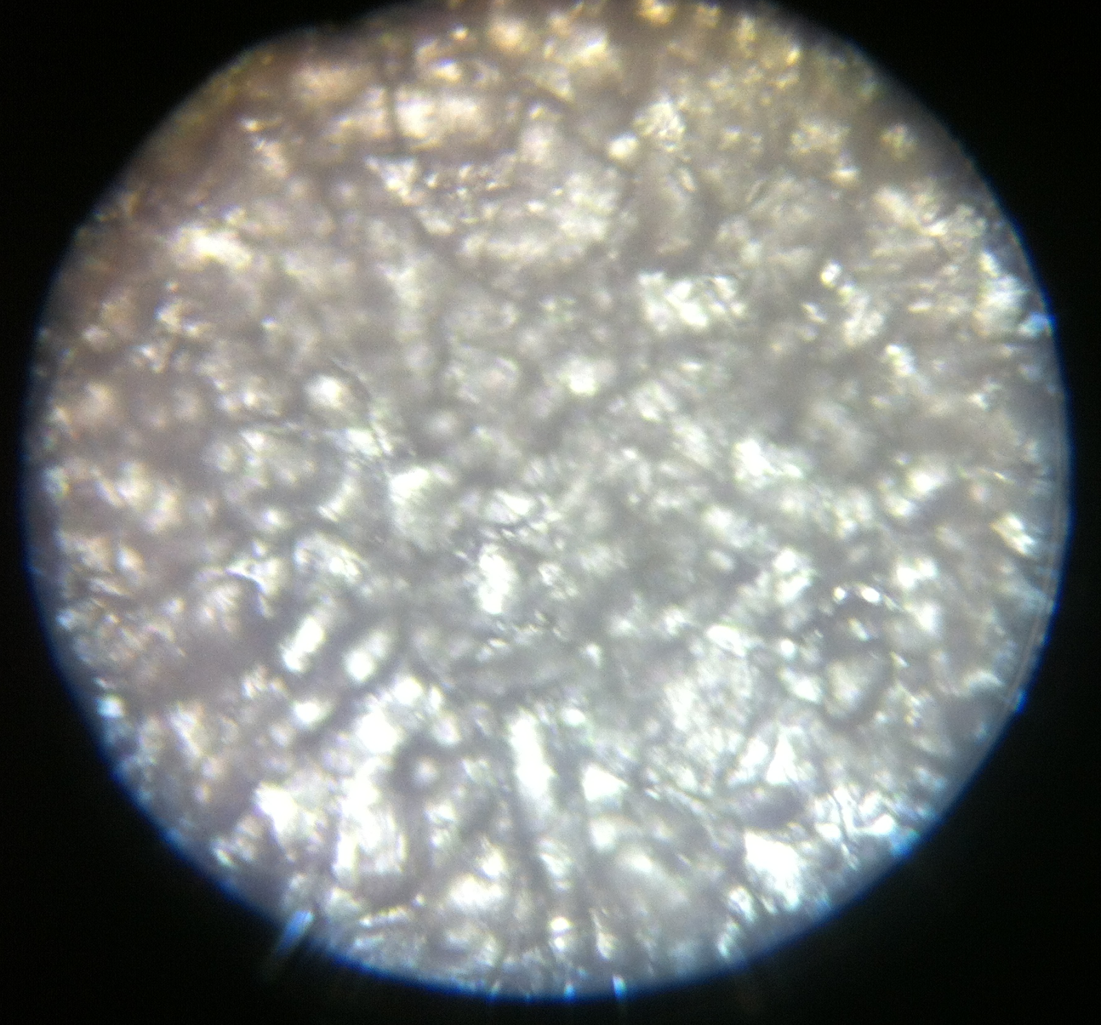 Biology Photos: Baking Soda