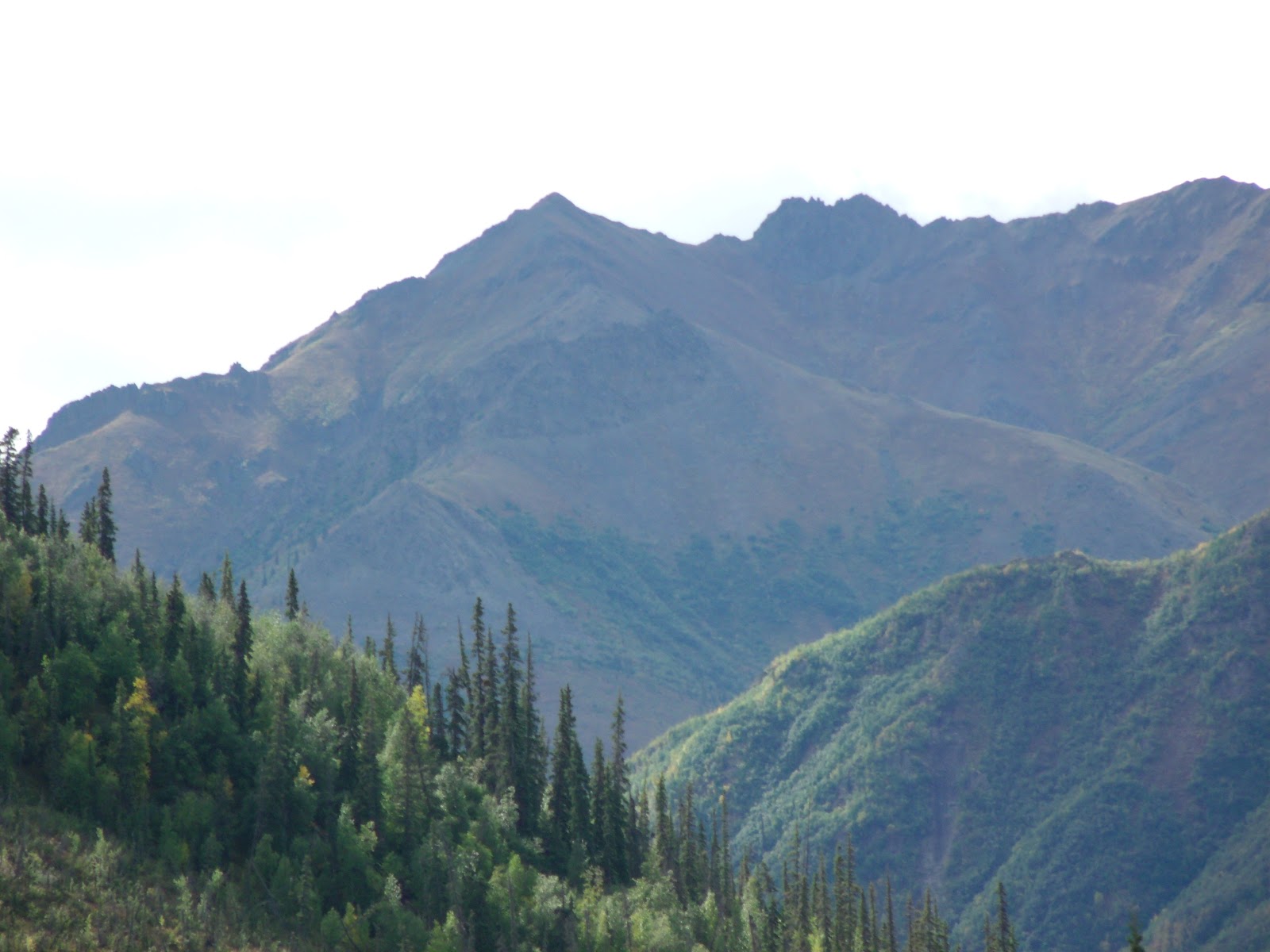 Merry Lee We Roll Along: A Travelblogue: Galkana AK to Tok AK to Beaver ...