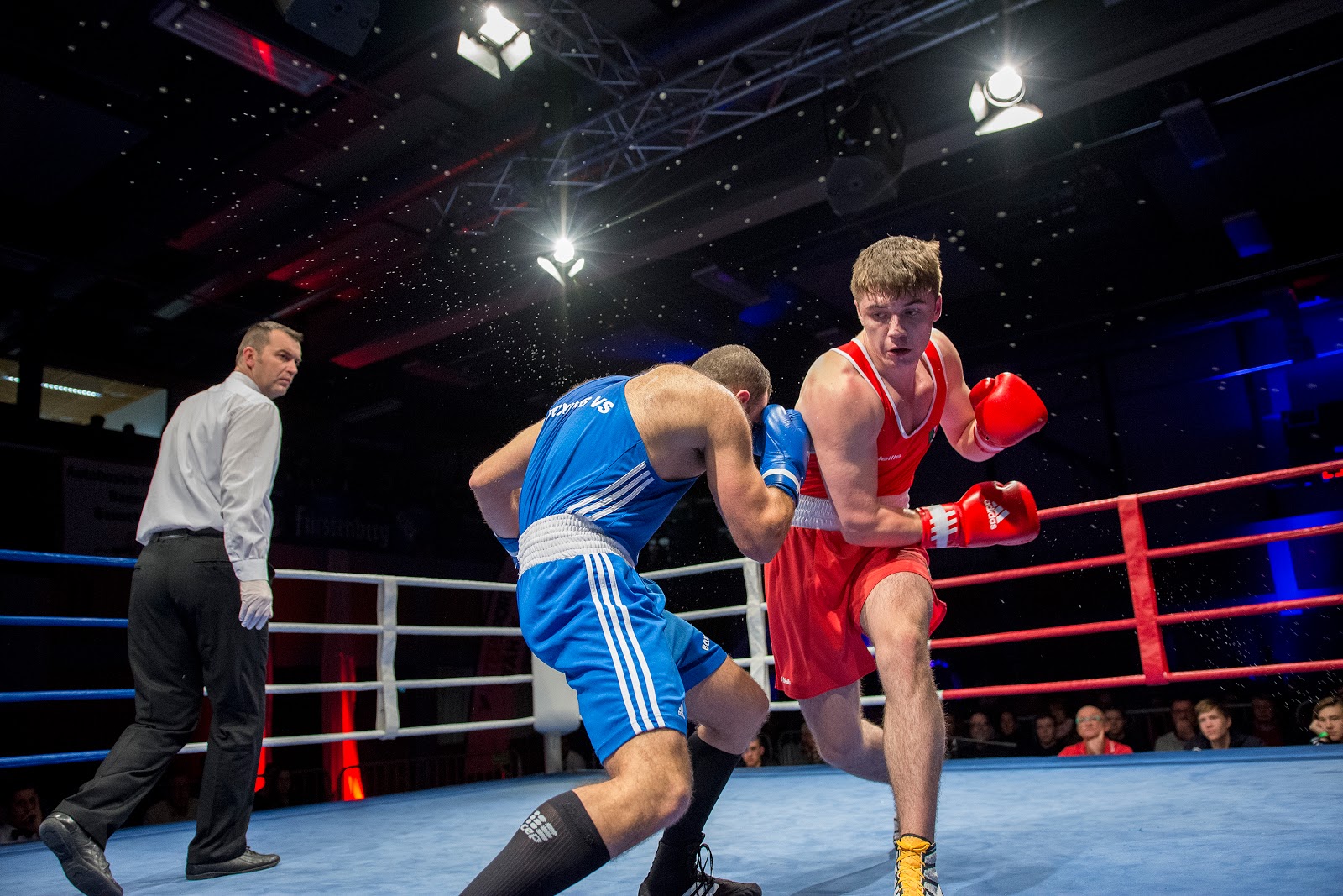 TageBilder: Boxen – Boxing VS gegen Irland – Das war die Boxgala am 15 ...