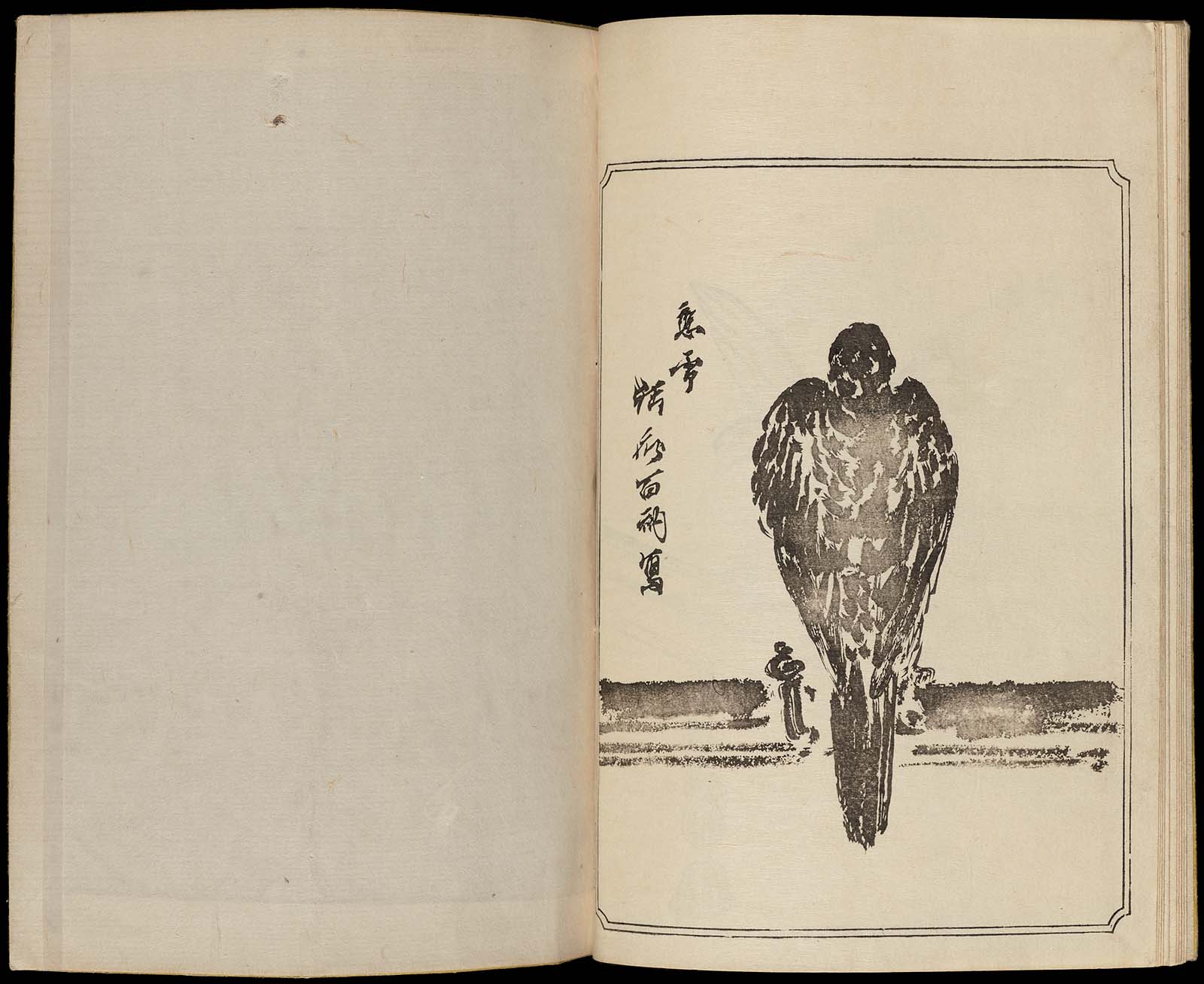 Flyover Country: Takagari