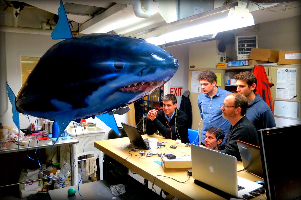 EEG Hacker: Brain-Controlled Shark Attack!