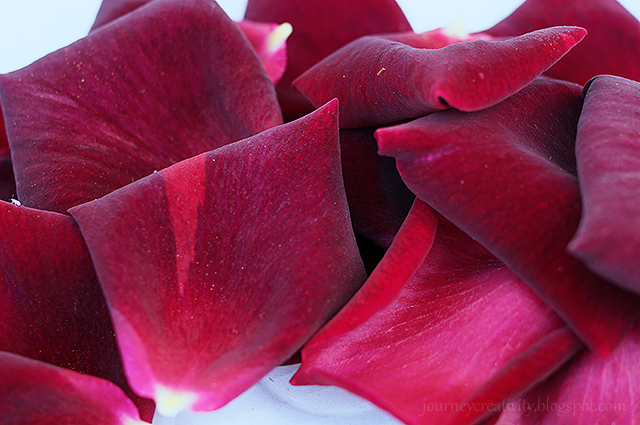 Rose petals painting - Journey into Creativity