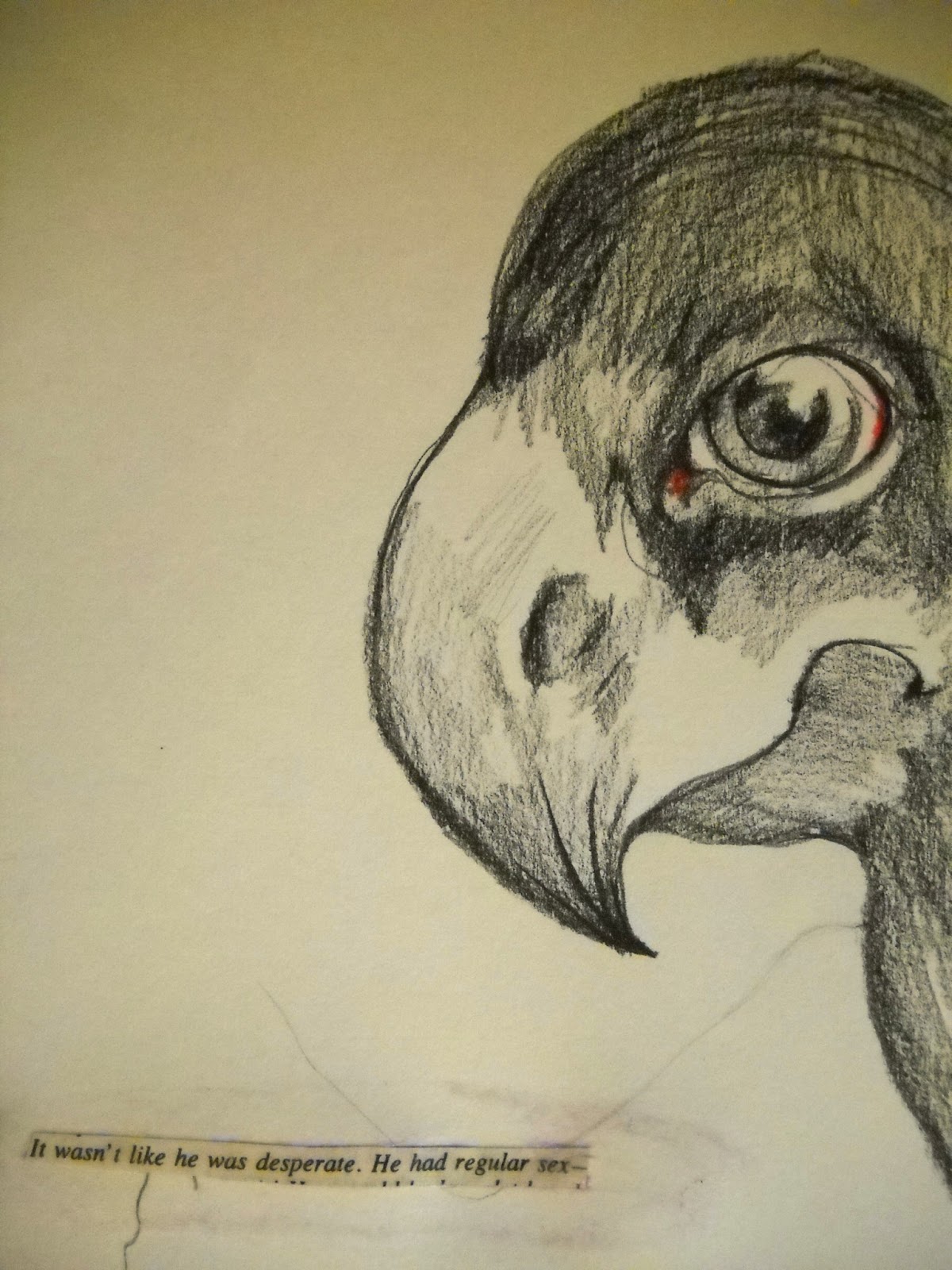 Inventing Trees: Bird Beaks Devolution (progression Drawing 2013)