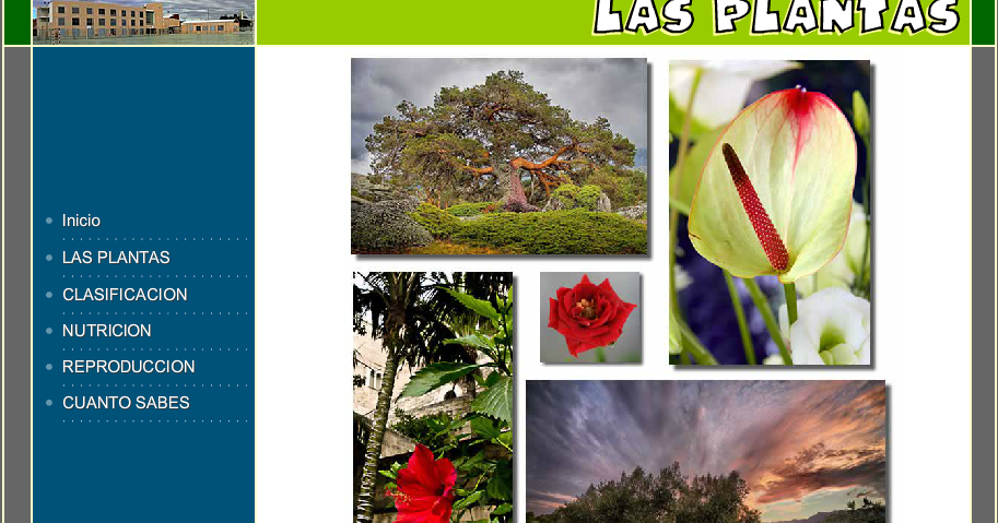 Maths, Science, ... Year 6: Las plantas - Libro Virtual