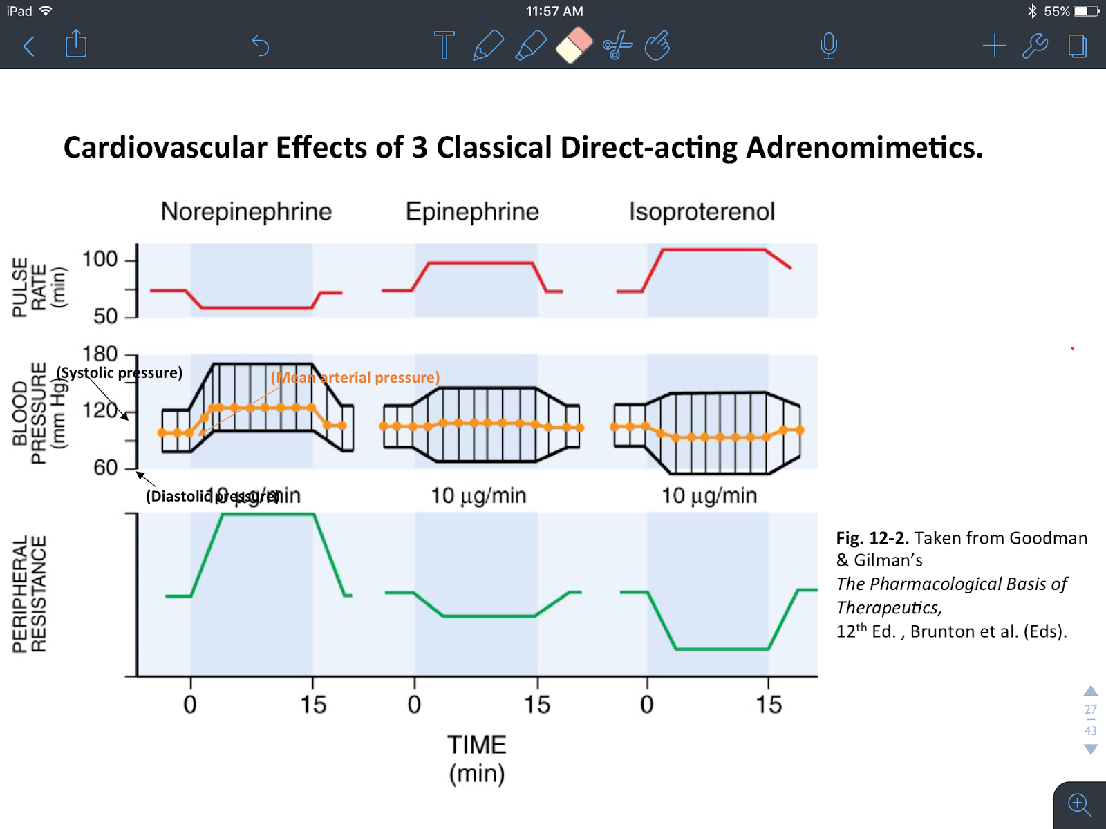 Tutor's Notes: general, cardiovascular, respiratory and renal ...