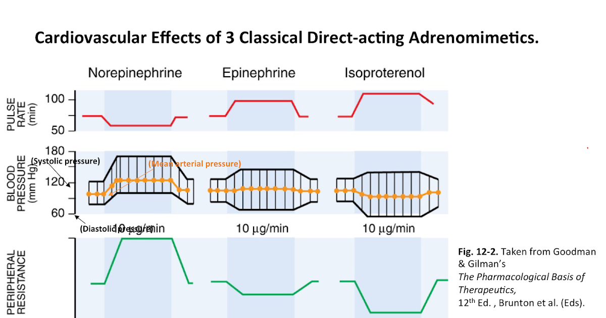 Tutor's Notes: general, cardiovascular, respiratory and renal ...