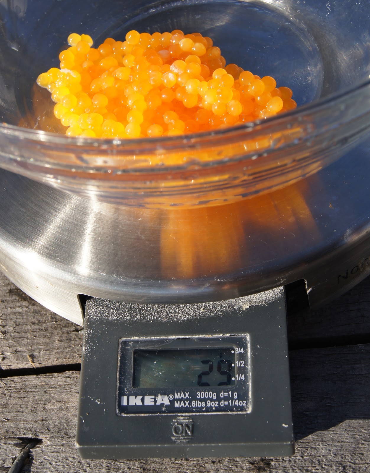 Trout Caviar: How to Make Trout Caviar