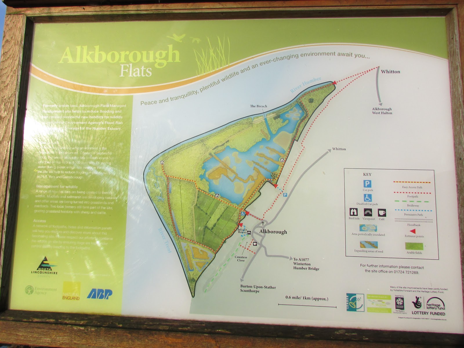 Wild at Hull: Alkborough Flats