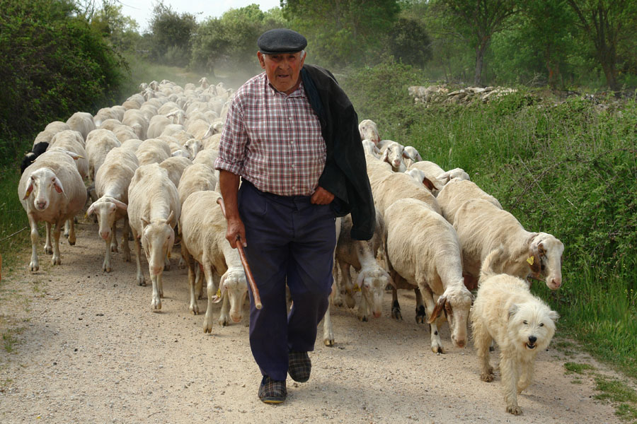 Brotherband the invaders pdf - pnalarge