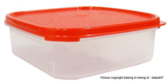Tupperware: Modular Mate Square Tupperware (MM Square Dry Storage boxes)