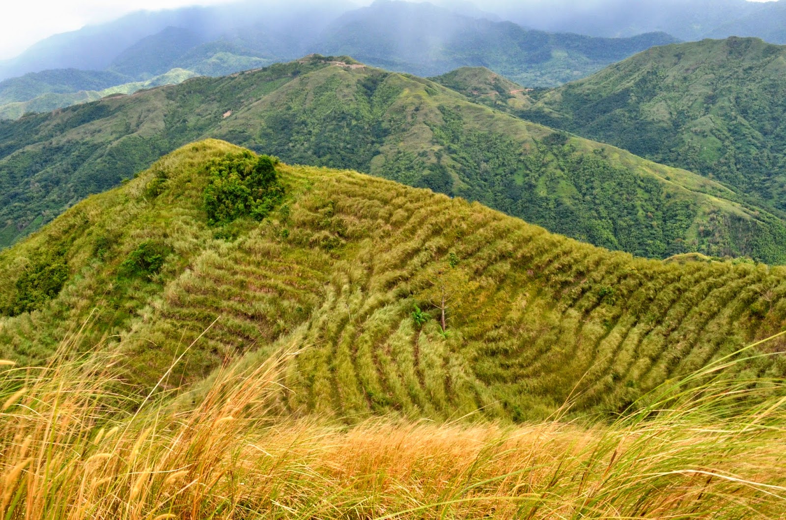 Climbing at Mount Ayaas