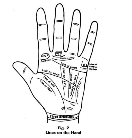 EASY PALMISTRY LESSONS FOR BEGINNERS ~ INDIAN PALMISTRY | PALM READING ...