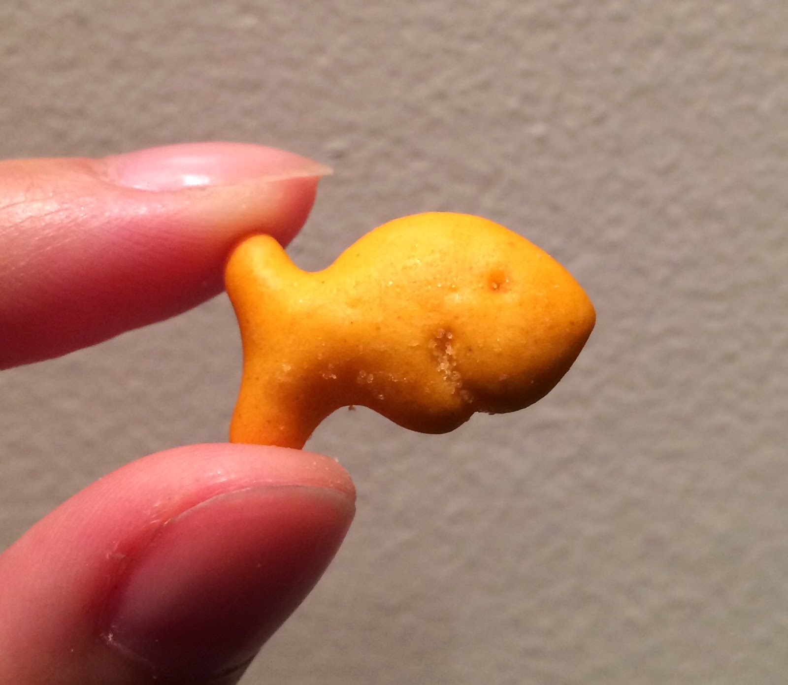 Goldfish Cheddar (Easter) / ゴールドフィッシュ チェダー（イースター） ~ I'm Made of Sugar ...