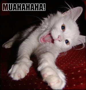 Malaysia Student's Guide: Starbucks- diary of a coffee addict