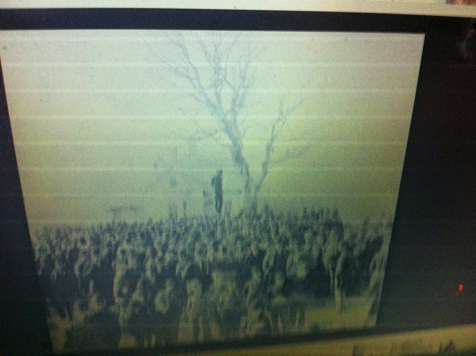 THE BLACK SOCIAL HISTORY:: BLACK SOCIAL HISTORY : AFRICAN AMERICAN ...