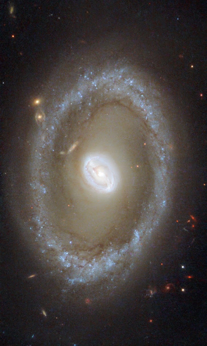 bensozia: NGC 3081