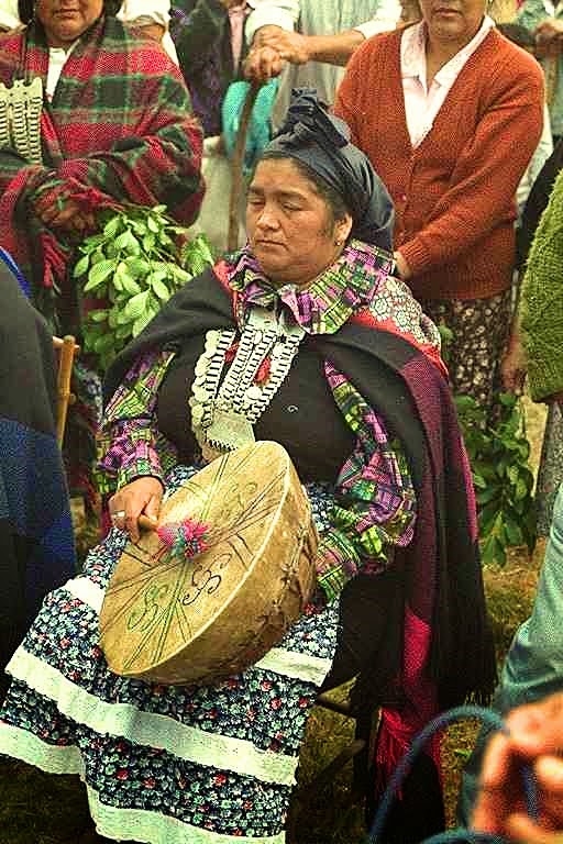 Pueblos Originarios de Chile: Medicina