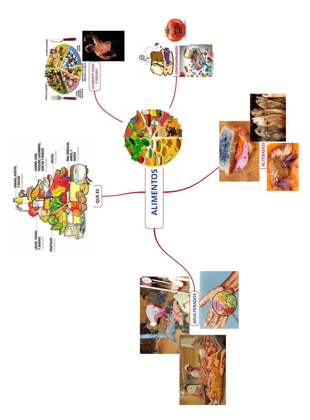 EL PROFE GUSTAVO VILORIA: MAPA MENTAL:ALIMENTOS