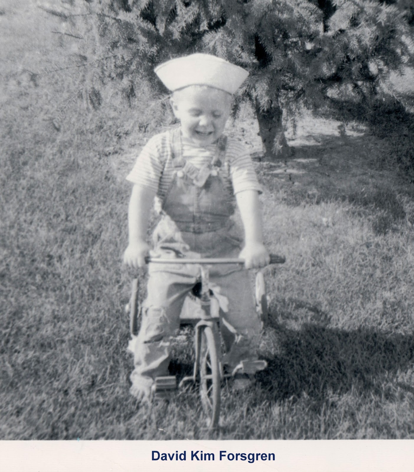 Forsgren, Peter Adolph & Descendants