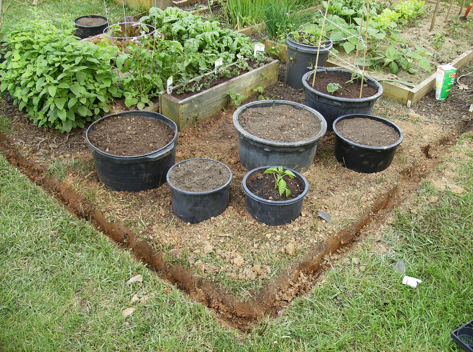 The Rusted Vegetable Garden
