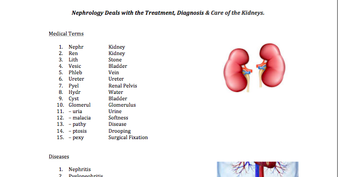 Easy Medical Terminology : Free Nephrology Medical Terminology ...