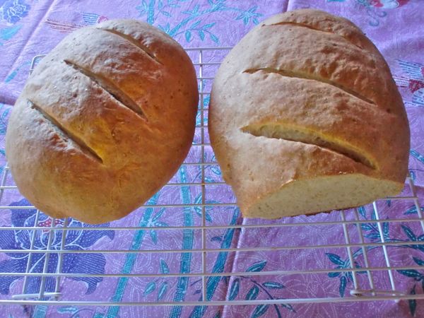 Rududu's semitropical adventures: Lessons from my Costa Rican kitchen