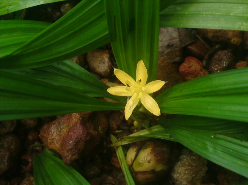 be creative, think nature and truth. My mobile blog: Nilappana ml.(low ...