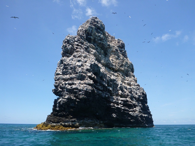 La Perouse Pinnacle - Volcanian